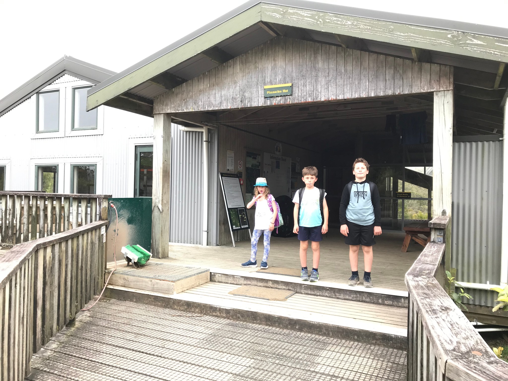 Pinnacles Hut, Coromandel Forest Park – trampingforlittlepeople