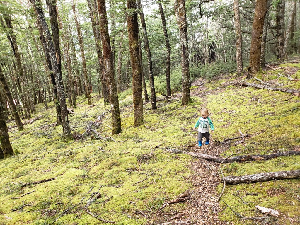 Bealey Hut, Arthur’s Pass National Park. – trampingforlittlepeople